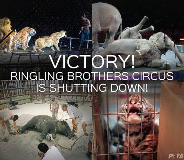 Goodbye Forever! Ringling Bros. Circus is Shutting Down Goodbye Forever! Ringling Bros. Circus is Shutting Down