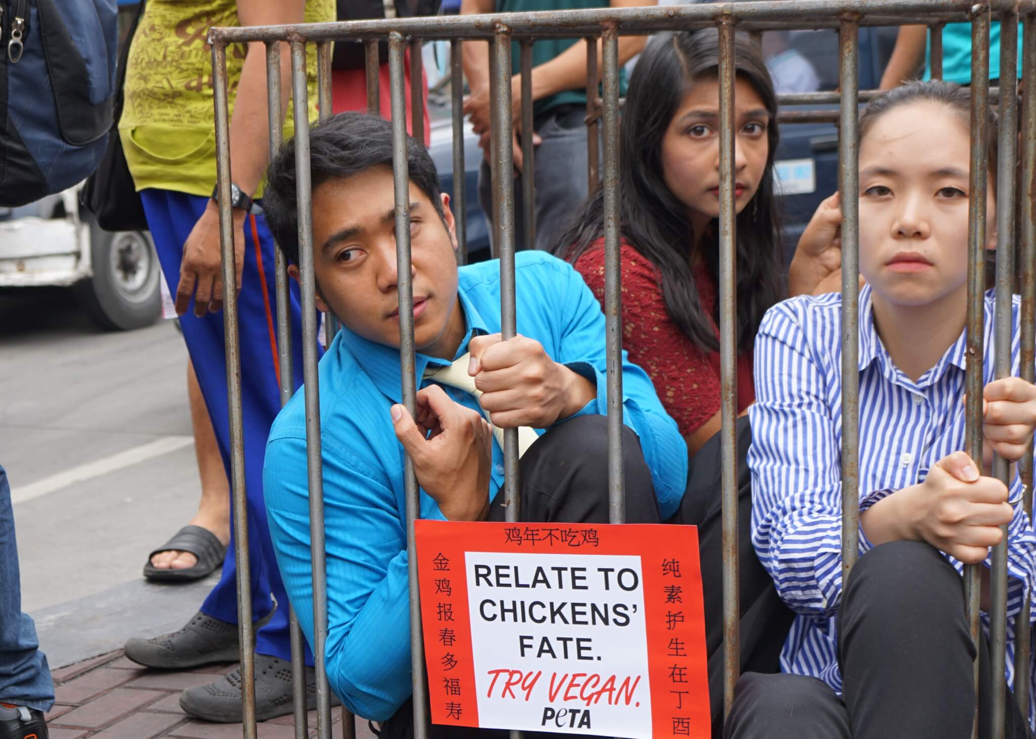 PHOTOS: PETA Members Confined to Cage for #YearOfTheChicken - News ...