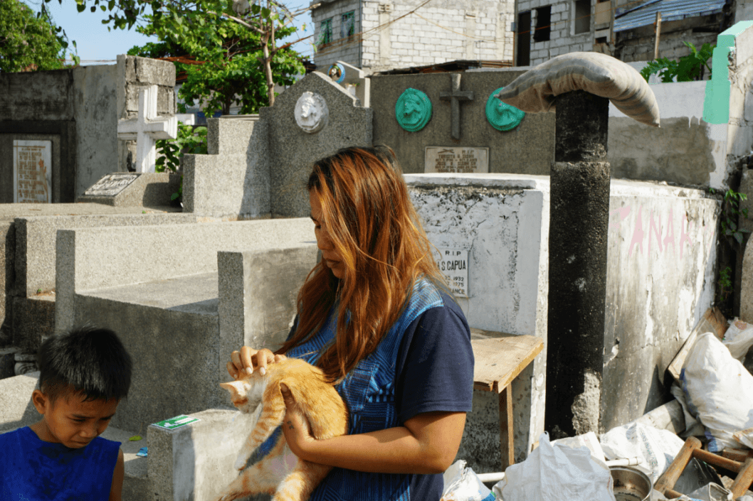 Help PETA Save Cats and Dogs in the Philippines