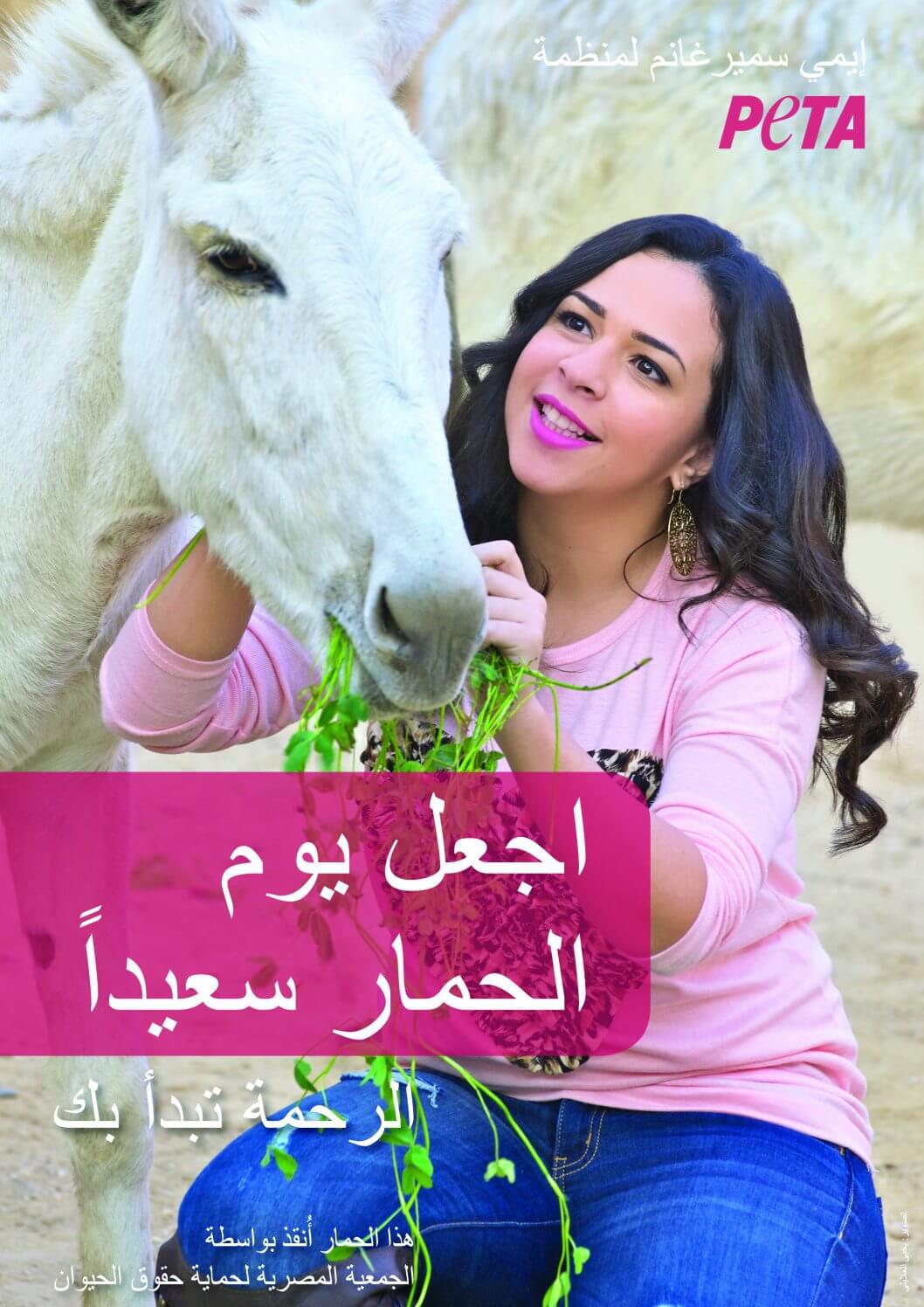 Egyptian Star Amy Samir Ghanem Calls for Kindness to Donkeys in Jordan