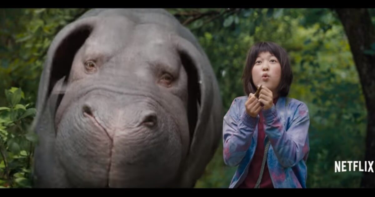 'Okja' Director Is PETA's 2017 Person of the Year - News - PETA Asia