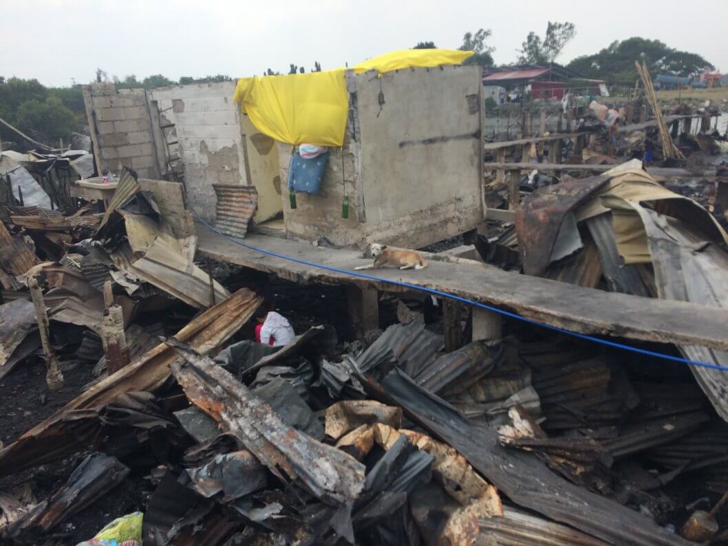 PETA Rushes to Help Animals After Disastrous Fire Breaks Out in the ...