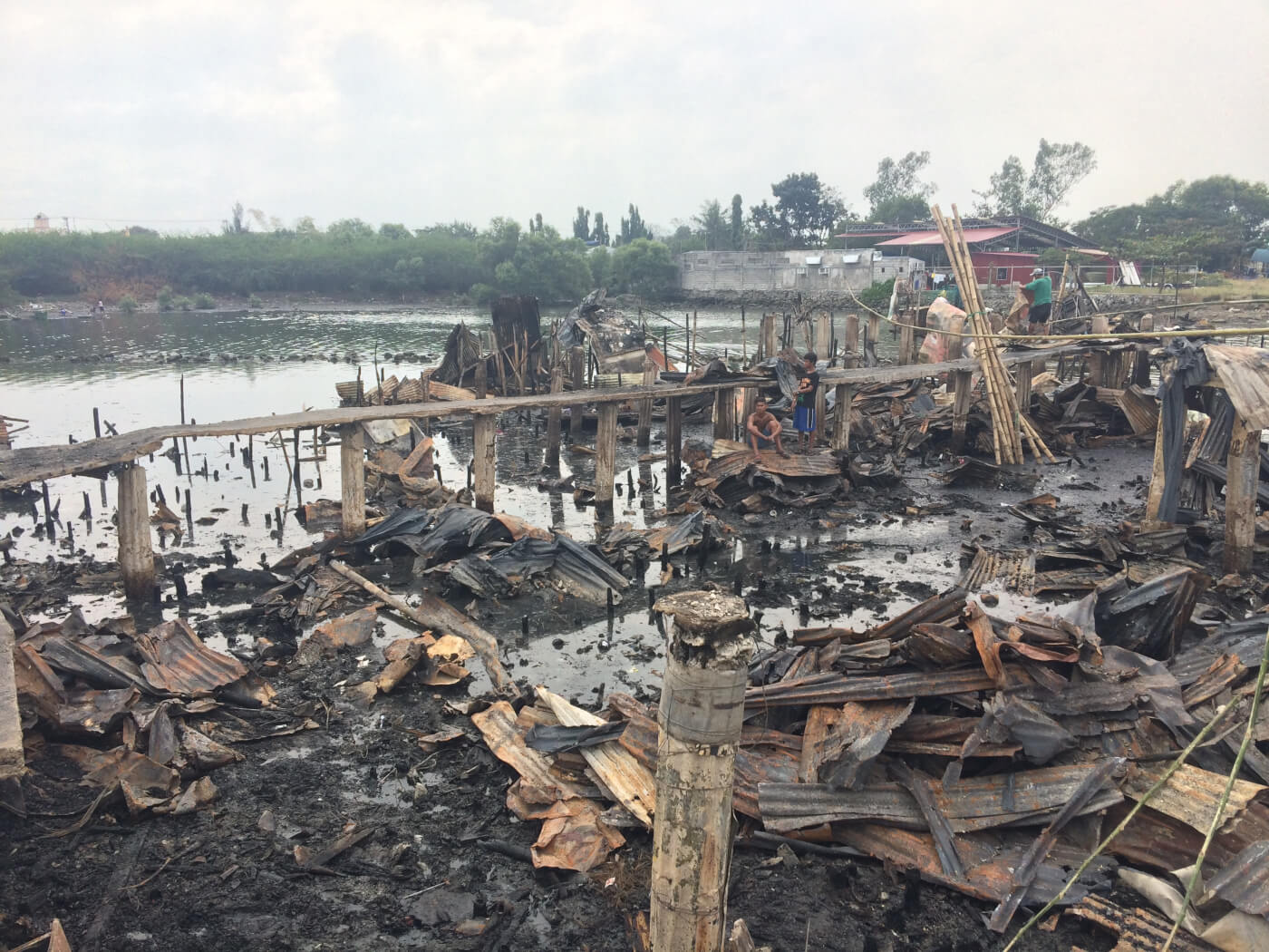 PETA Rushes to Help Animals After Disastrous Fire Breaks Out in the ...