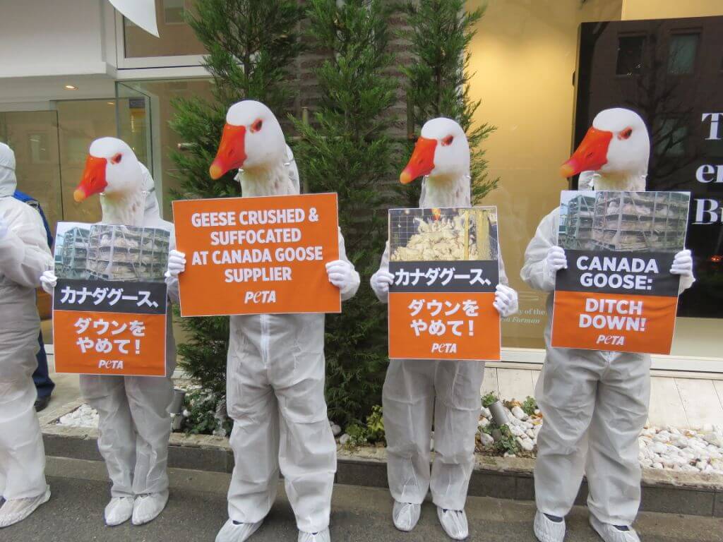 PHOTOS: 'Geese' Protest Canada Goose Store in Tokyo