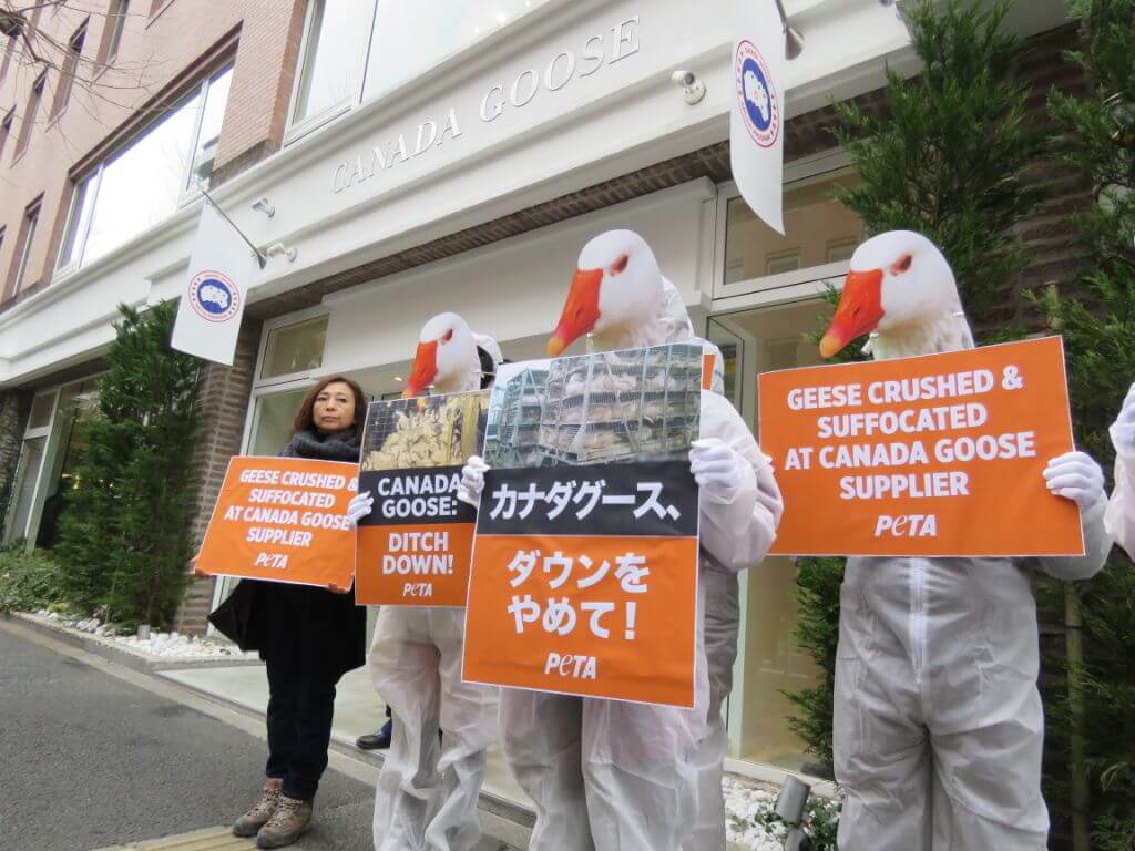 PHOTOS: 'Geese' Protest Canada Goose Store in Tokyo