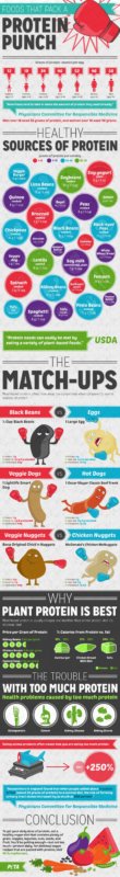 Vegan Foods That Pack a Protein Punch | Food - PETA Asia