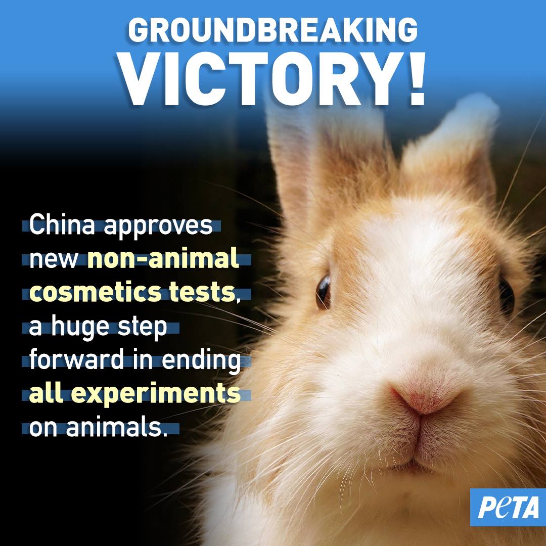 China Greenlights New Non-Animal Cosmetics Tests - News - PETA Asia
