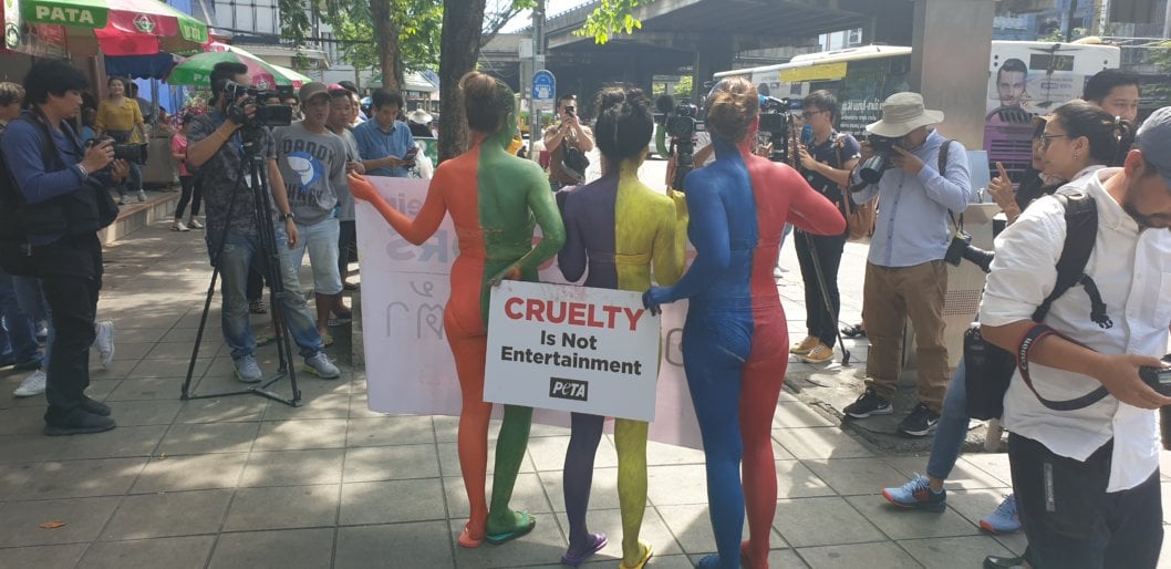 PHOTOS: Colorful PETA Protesters Call For Boycott of the Pata Zoo ...