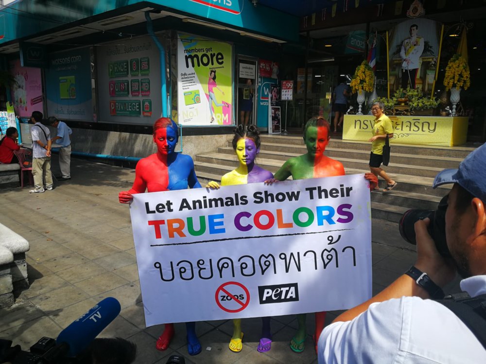 PHOTOS: Colorful PETA Protesters Call For Boycott of the Pata Zoo ...