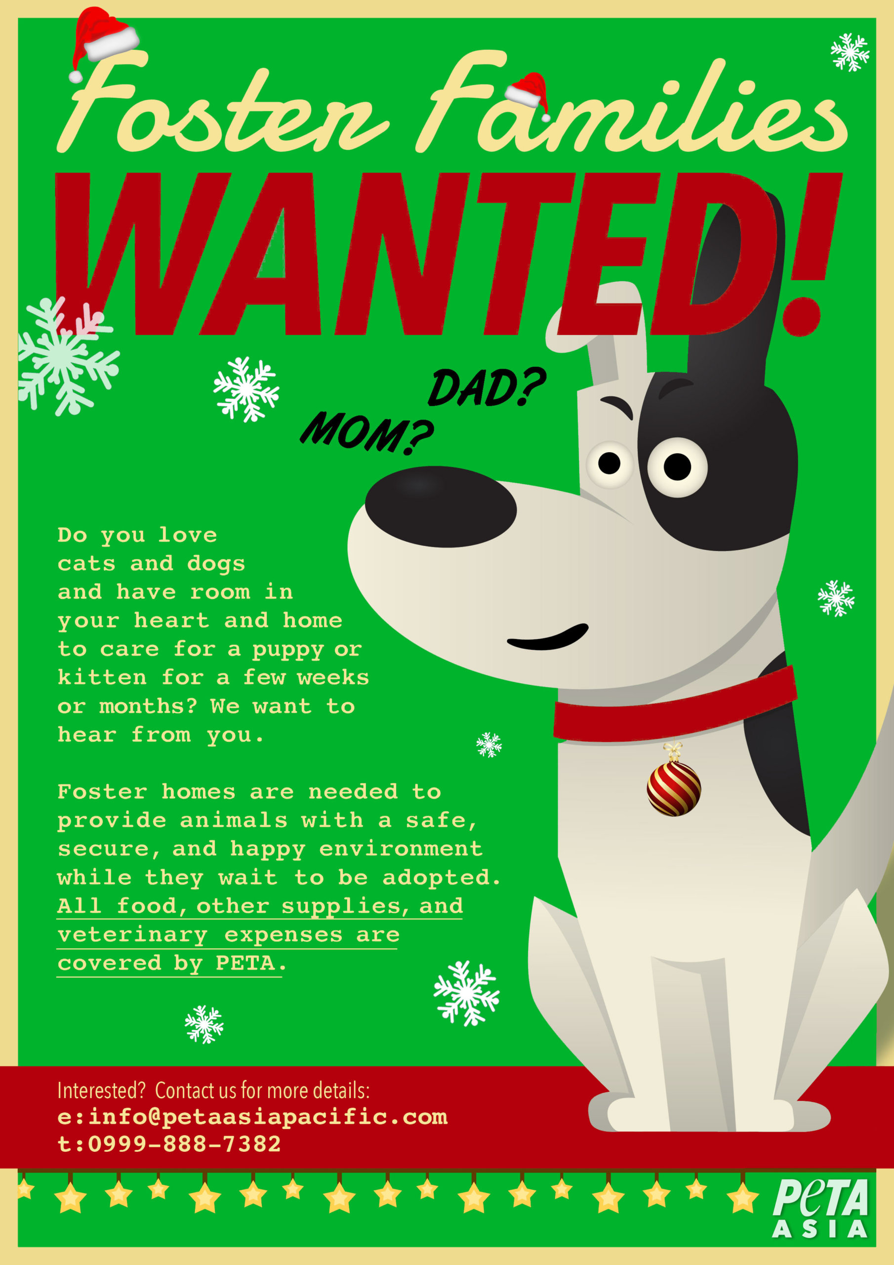 Metro Manila: At Home Over the Holidays? We Need Foster Parents ...