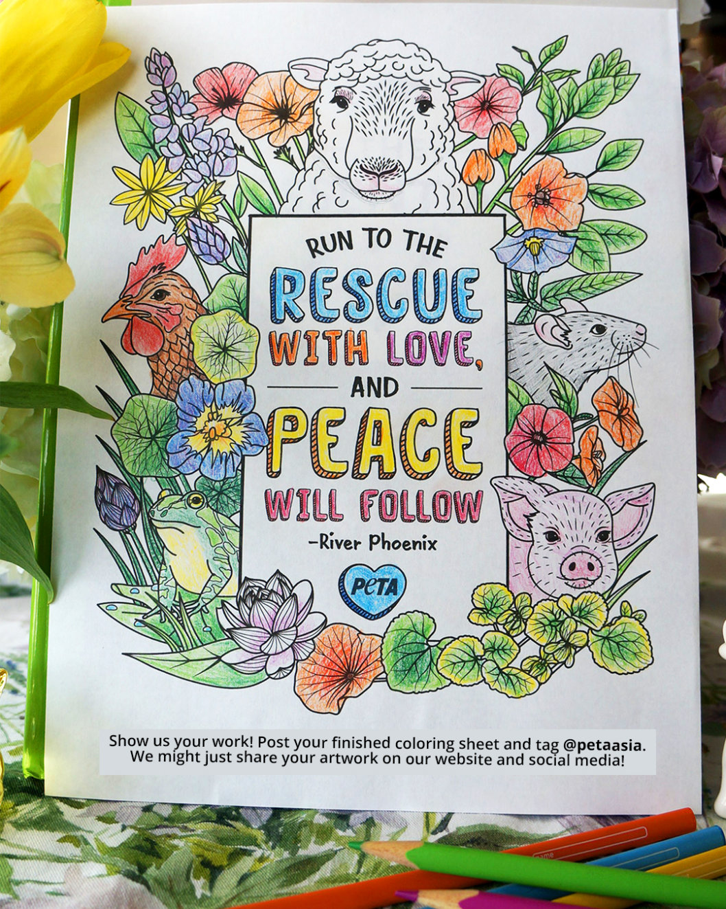 Bored? Get Creative With These PETA Coloring Pages - Action Center ...