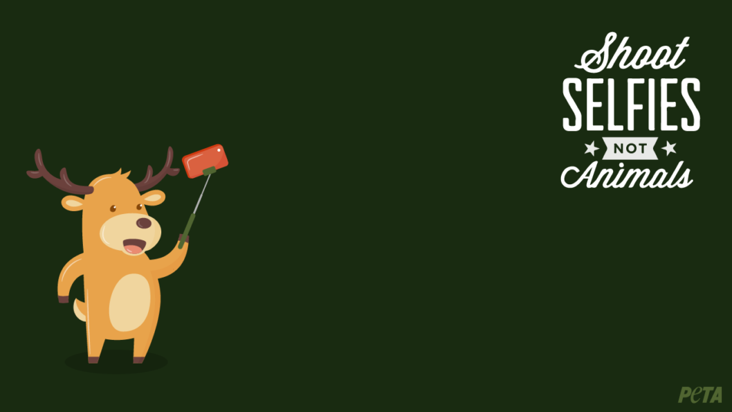 Free Zoom Backgrounds That Help Animals - Action Center - PETA Asia