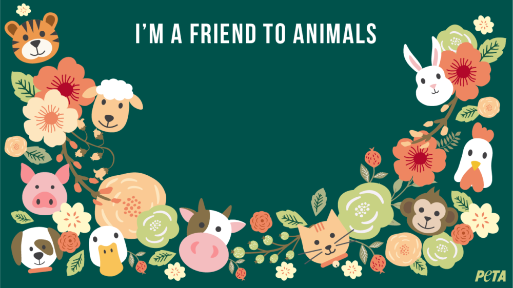 Free Zoom Backgrounds That Help Animals - Action Center - PETA Asia
