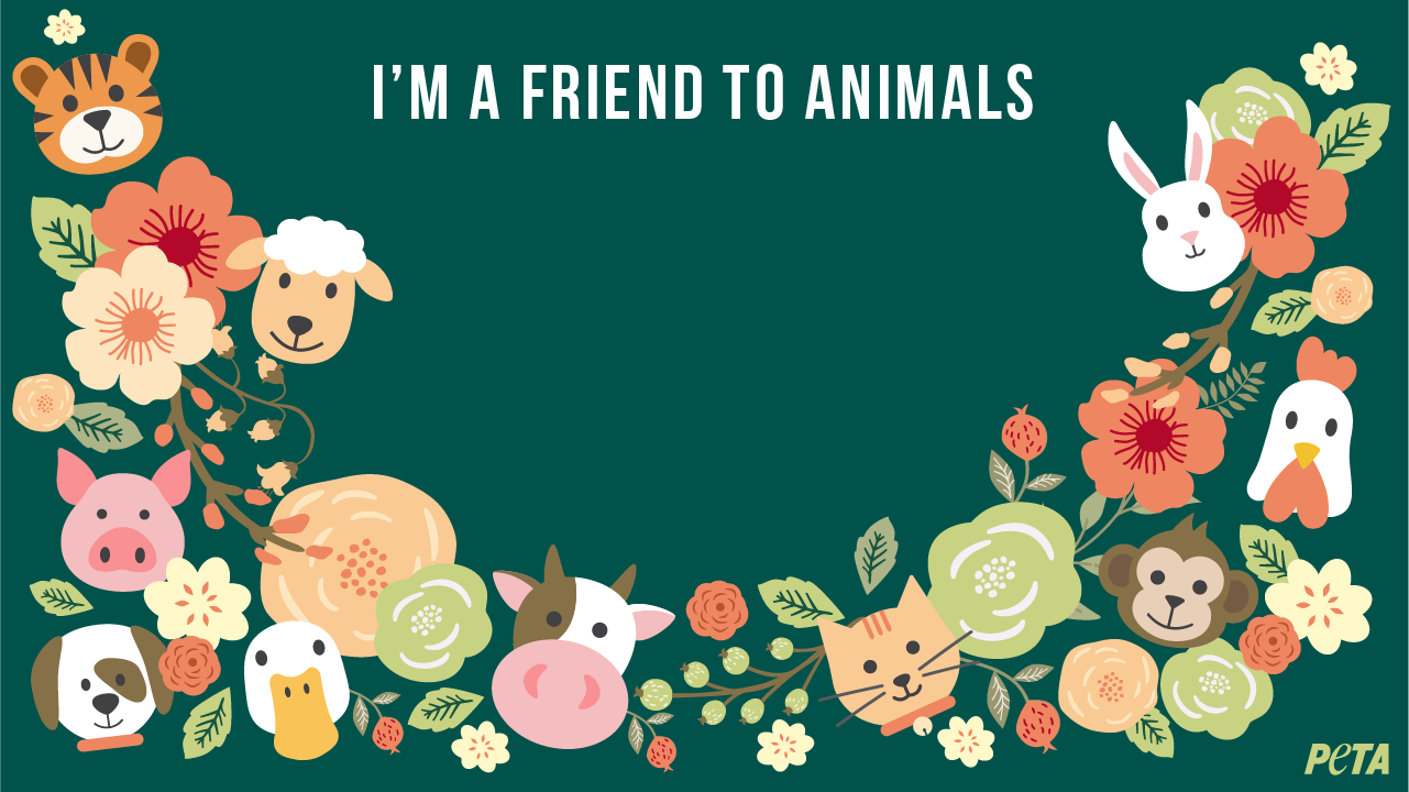 Free Zoom Backgrounds That Help Animals - Action Center - PETA Asia