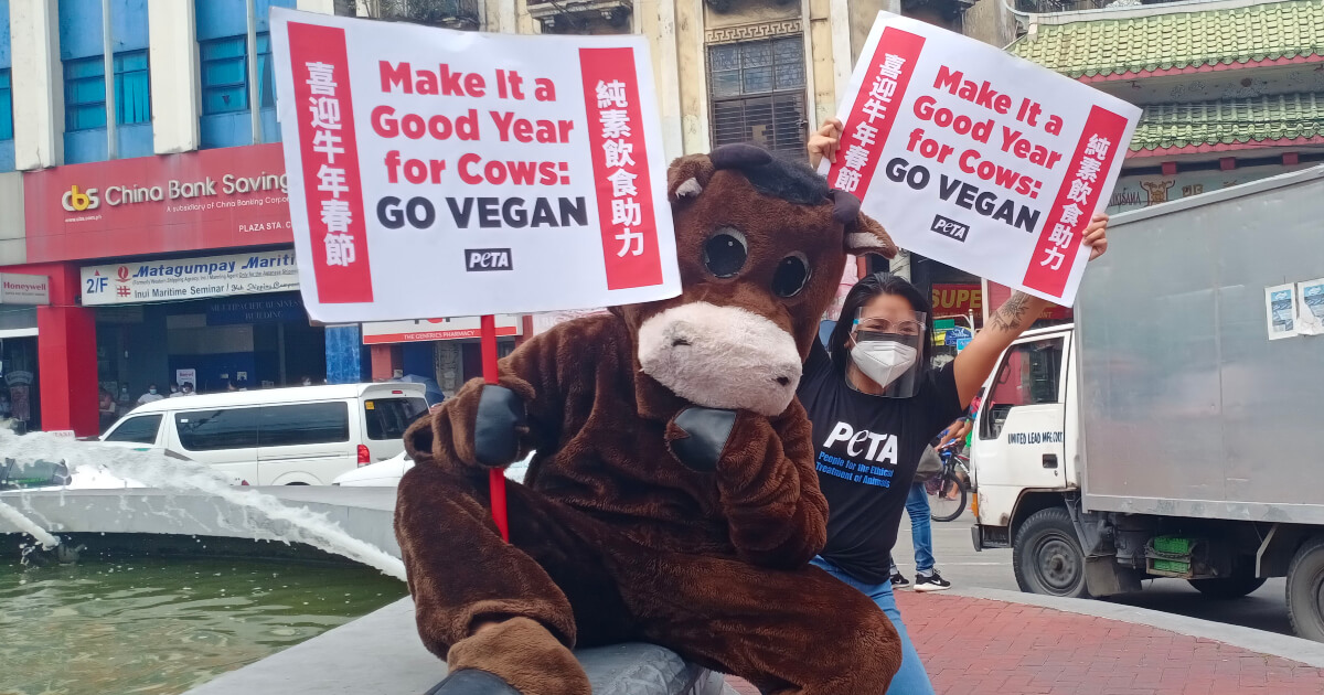 PETA’s Dancing ‘Cows’ Celebrate Chinese New Year