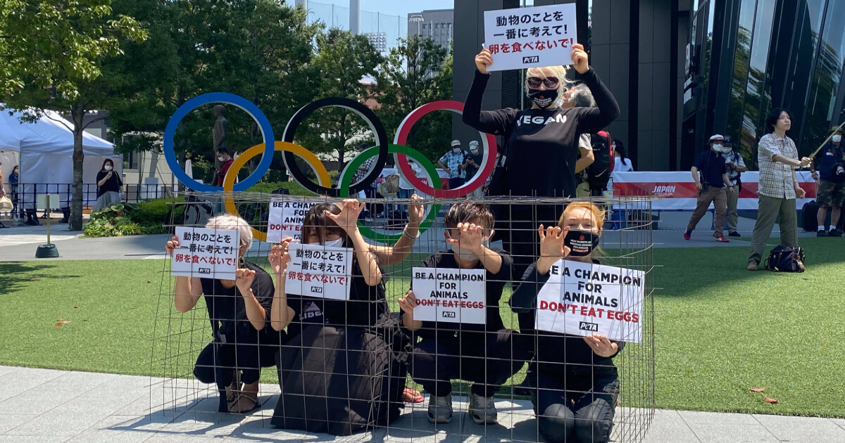 Photos: Caged Activists in Tokyo Protest Olympic Egg Cruelty