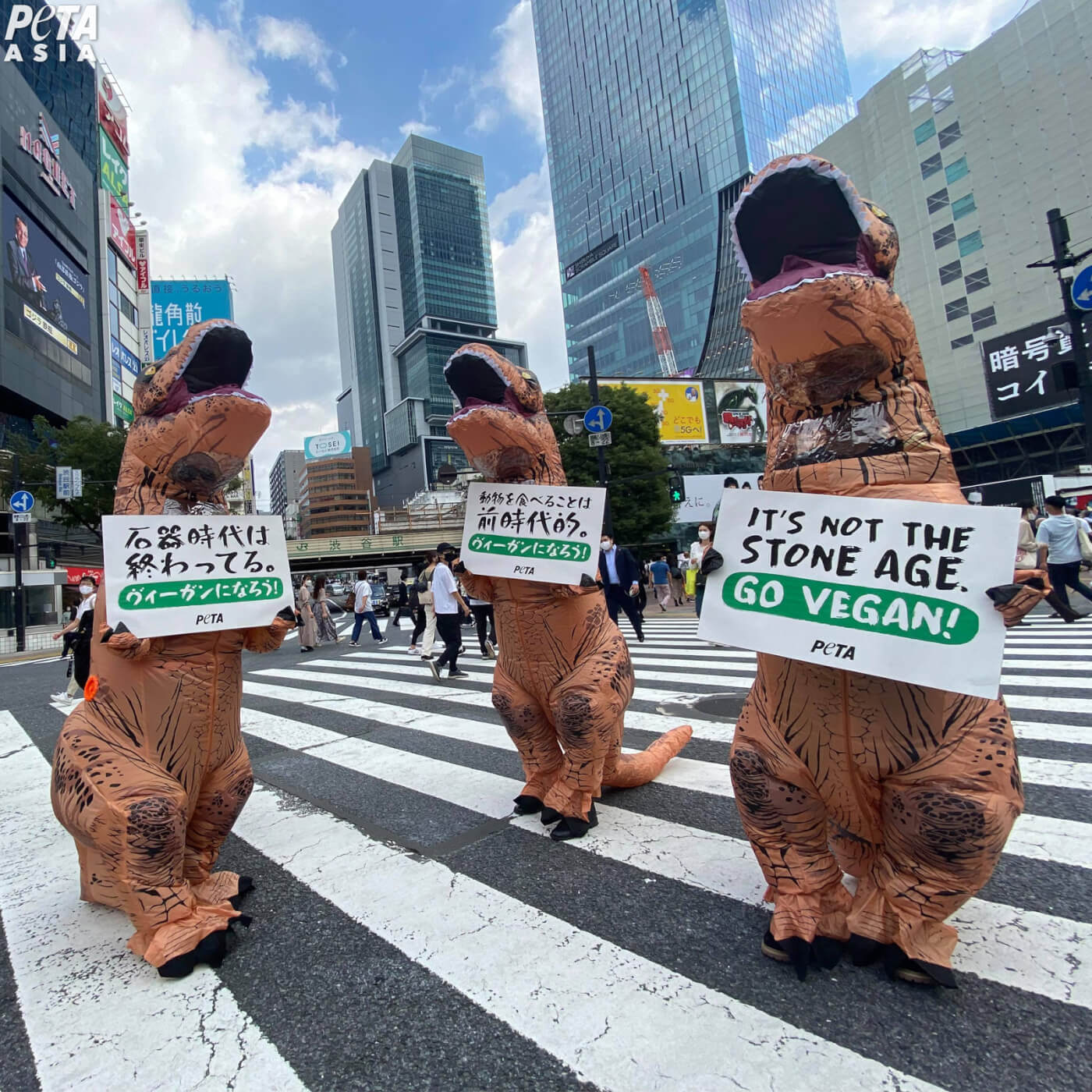 PETA ‘Dinosaurs’ on Shibuya Crossing in Tokyo, Japan say 'Go Vegan'